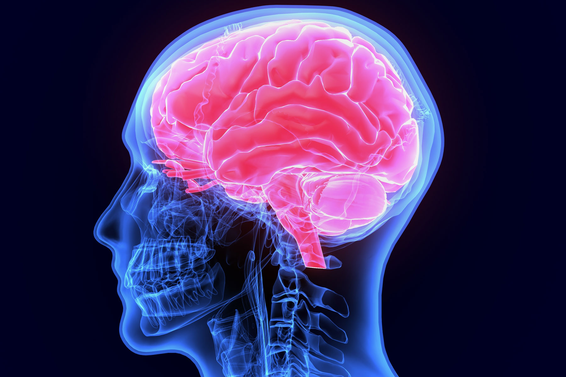 How Do Opioids Affect the Brain? | Addiction Treatment | TX