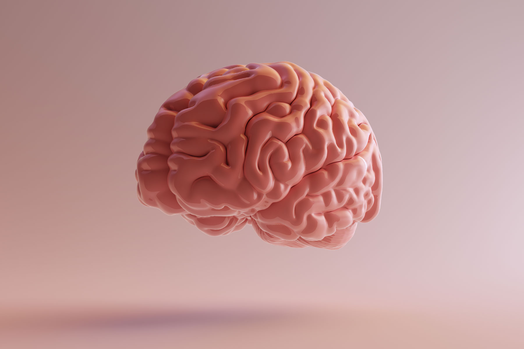How Does Meth Affect the Brain | Substance Abuse | TX