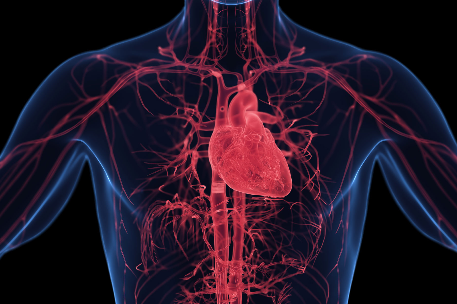 How Cocaine Can Impact the Heart | Addiction Treatment | TX